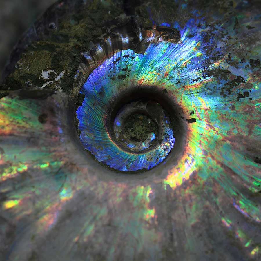 Home - Whole Health Pathways